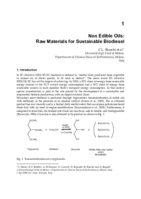 (PDF) Non Edible Oils: Raw Materials for Sustainable Biodiesel