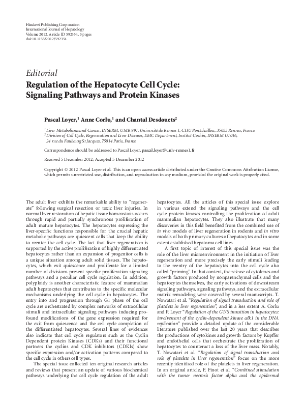 (PDF) Regulation of the Hepatocyte Cell Cycle: Signaling Pathways and ...