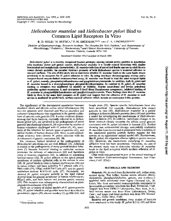 (PDF) Helicobacter mustelae and Helicobacter pylori bind to common ...