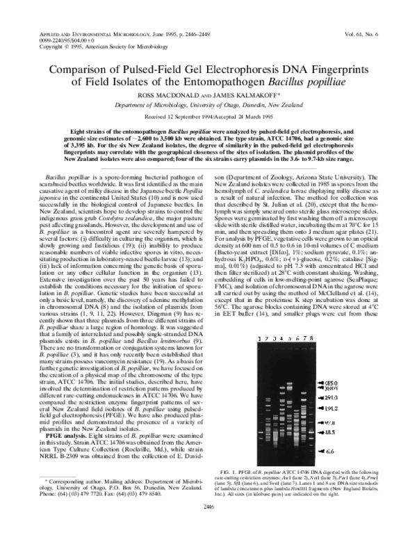 (PDF) Comparison of Pulsed-Field Gel Electrophoresis, Ribotyping, and ...