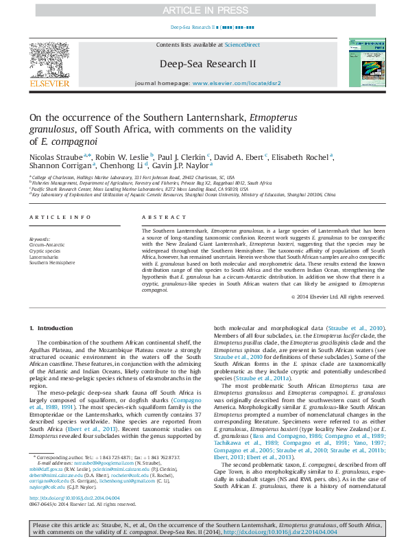 (PDF) On the occurrence of the Southern Lanternshark, Etmopterus ...