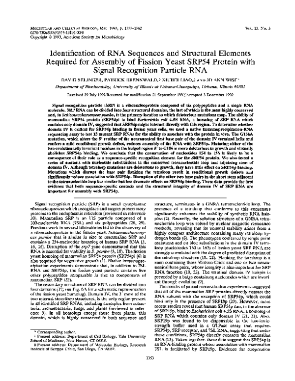(PDF) Identification of RNA sequences and structural elements required for assembly of fission ...
