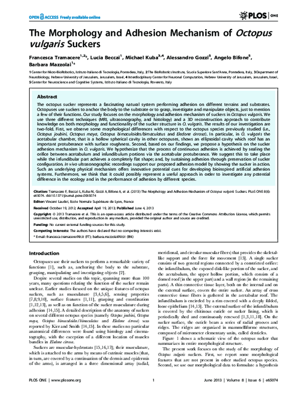 (PDF) The Morphology and Adhesion Mechanism of Octopus vulgaris Suckers