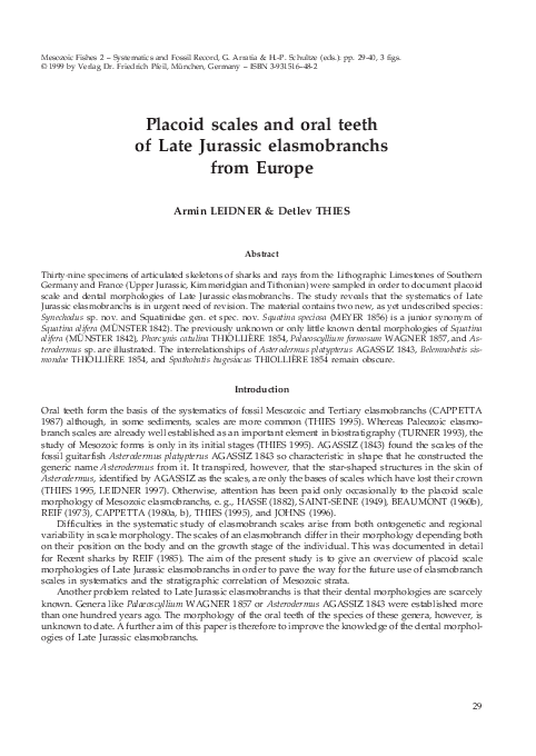 (PDF) Placoid scales and oral teeth of Late Jurassic elasmobranchs from ...