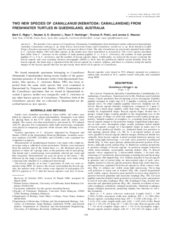 (PDF) Two New Species of Camallanus (Nematoda: Camallanidae) From ...