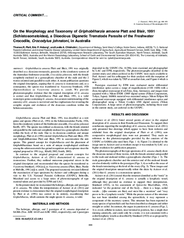 (PDF) On The Morphology and Taxonomy of Griphobilharzia amoena Platt ...