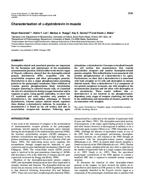 (PDF) Characterisation of alpha-dystrobrevin in muscle