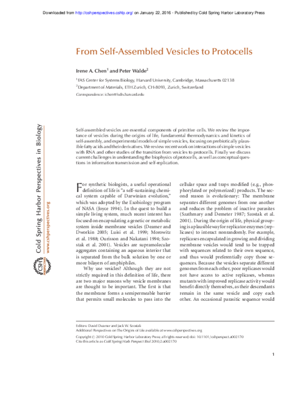 (PDF) From self-assembled vesicles to protocells | Peter Walde ...