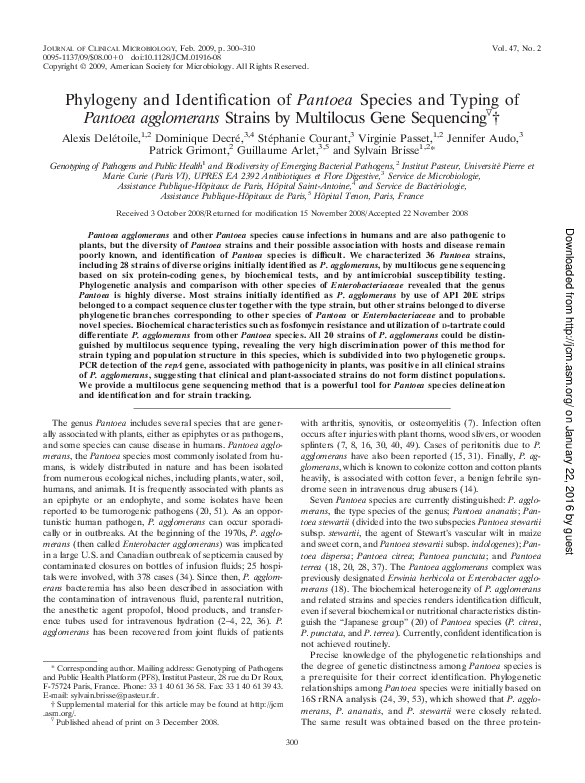 (PDF) Phylogeny and Identification of Pantoea Species and Typing of ...