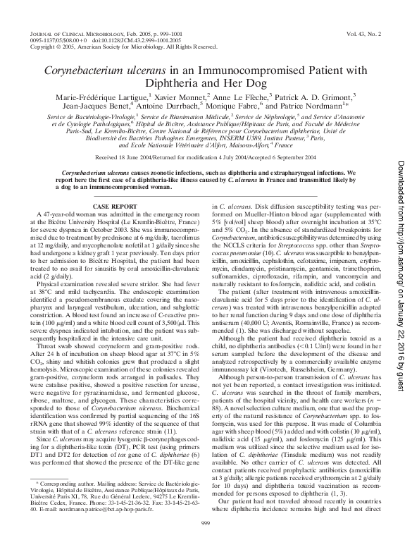(PDF) Corynebacterium ulcerans in an Immunocompromised Patient with ...