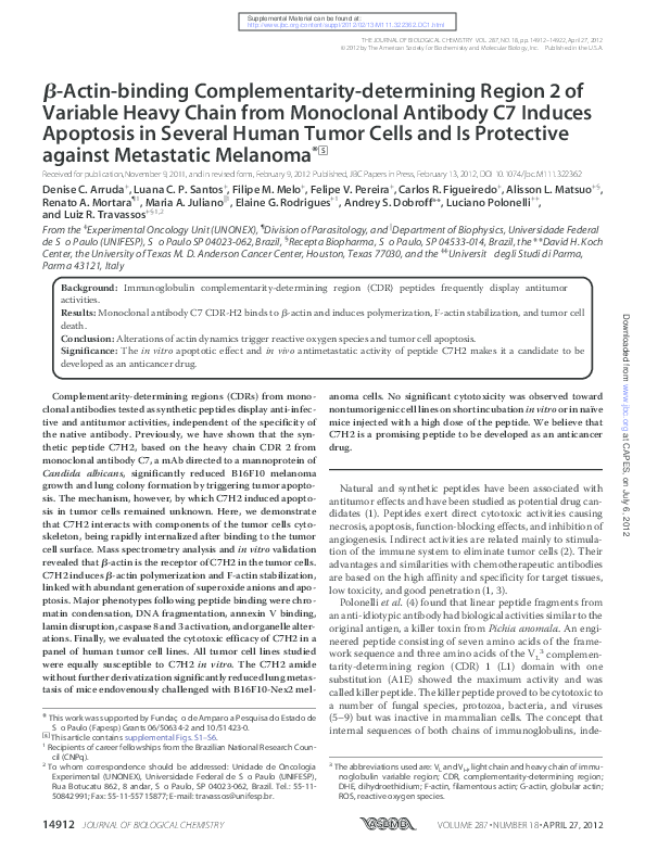 (PDF) The β-actin-binding complementarity-determining region 2 of ...