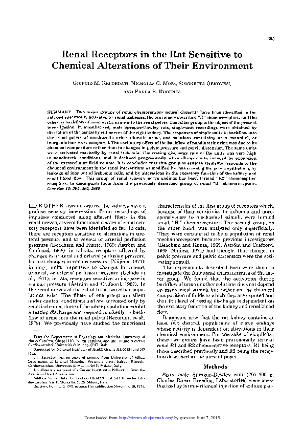 (PDF) Renal receptors in the rat sensitive to chemical alterations of ...