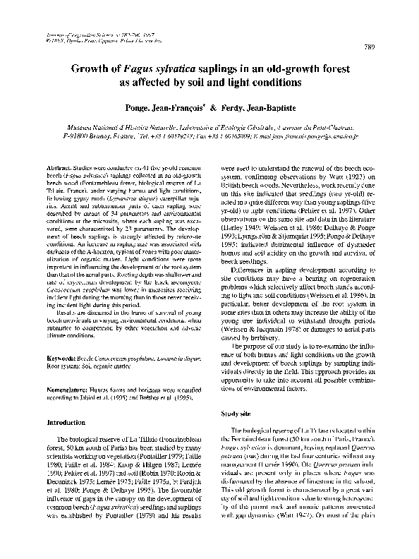 (PDF) Growth of Fagus sylvatica saplings in an old-growth forest as ...