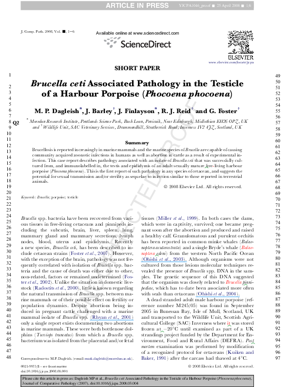 (PDF) Brucella ceti Associated Pathology in the Testicle of a Harbour ...