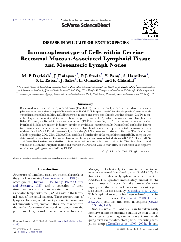 (PDF) Immunophenotype of Cells within Cervine Rectoanal Mucosa ...