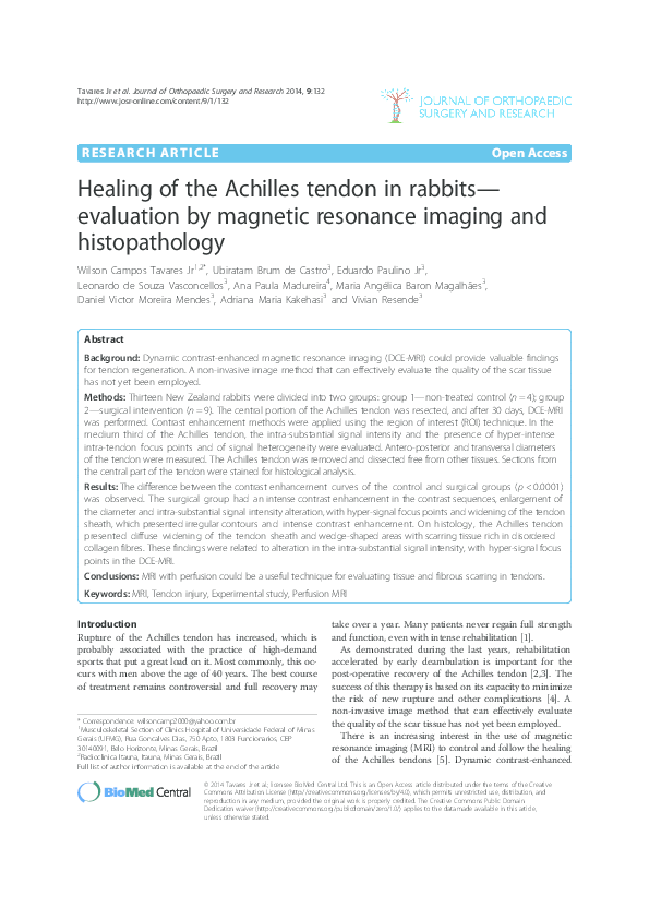 (PDF) Healing of achilles tendon in rabbits MRI imaging and histopathology