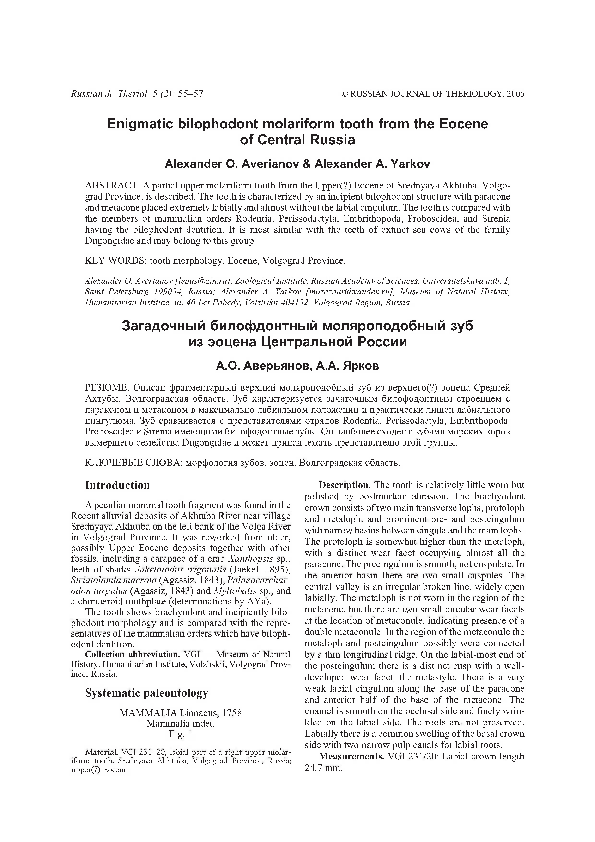 (PDF) Enigmatic bilophodon molariform tooth from the Eocene of Central ...