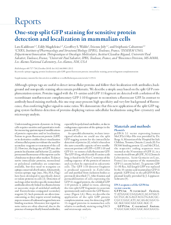 (PDF) One-step split GFP staining for sensitive protein detection and ...