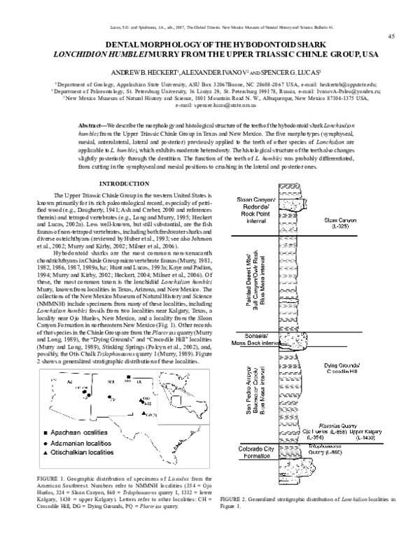 (PDF) Dental morphology of the hybodontoid shark Lonchidion humblei ...
