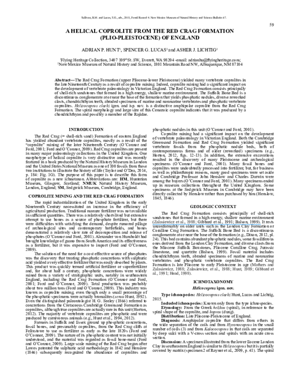 (PDF) A HELICAL COPROLITE FROM THE RED CRAG FORMATION (PLIO-PLEISTOCENE ...