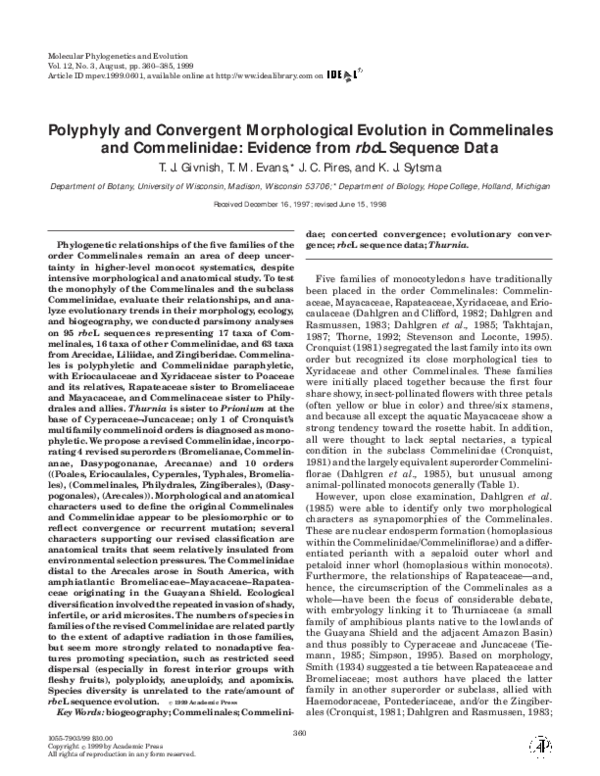 (PDF) Polyphyly and Convergent Morphological Evolution in Commelinales ...