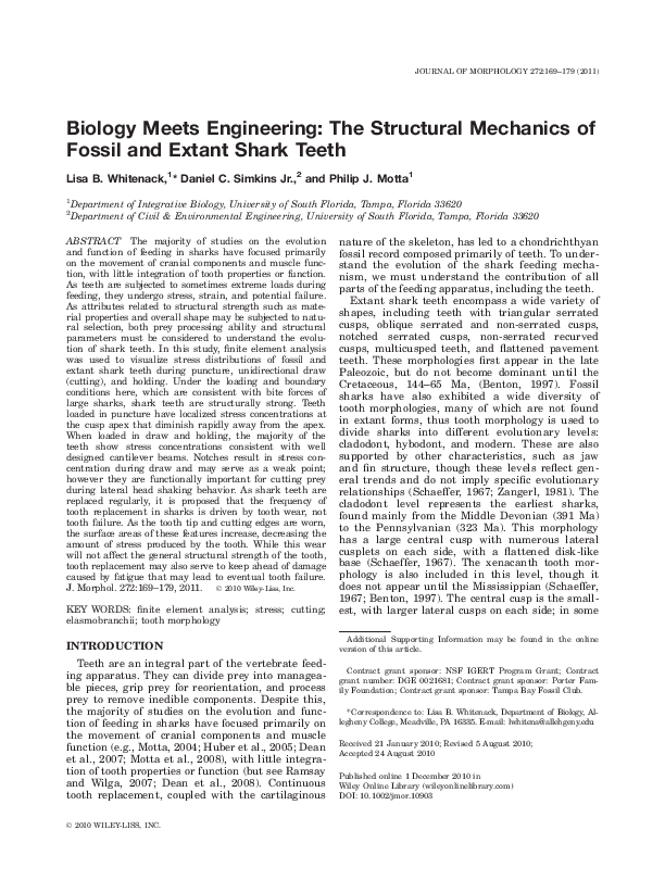 (PDF) Biology meets engineering: The structural mechanics of fossil and ...