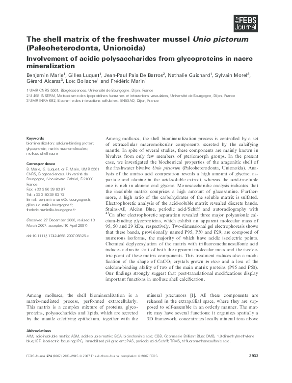 (PDF) The shell matrix of the freshwater mussel Unio pictorum ...