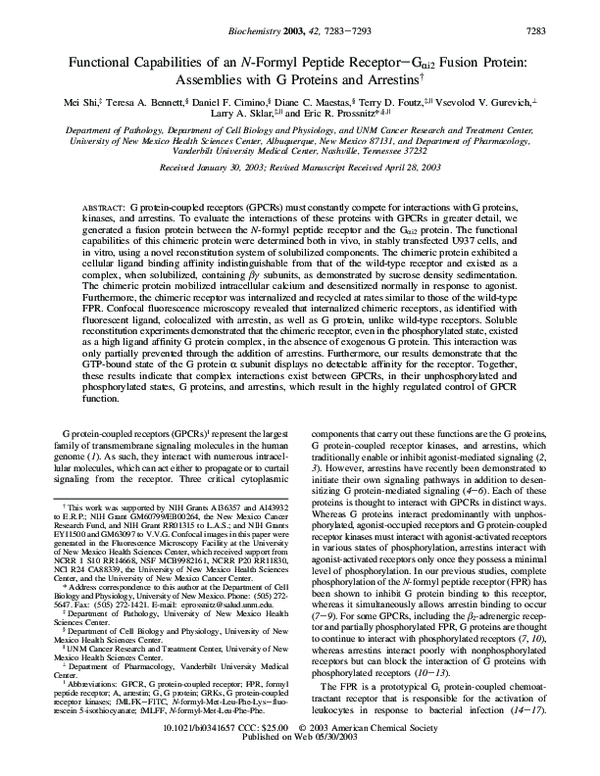 Functional Capabilities of an N-Formyl Peptide Receptor-GRi2 Fusion ...