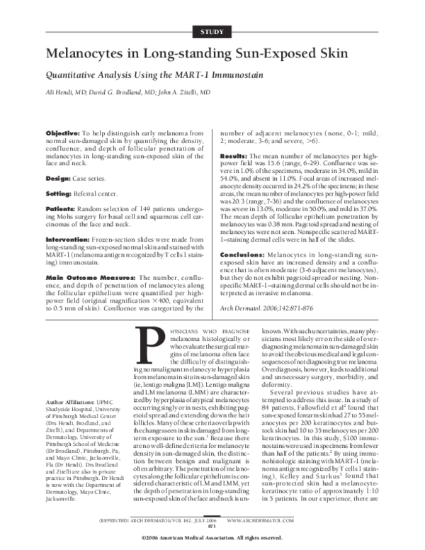 (PDF) Melanocytes in long-standing sun-exposed skin: quantitative ...