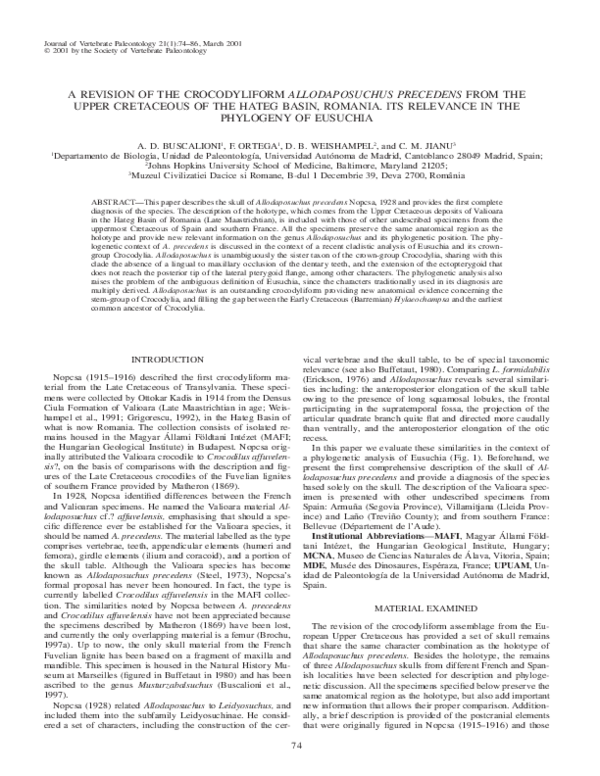 (PDF) A revision of the crocodyliform Allodaposuchus precedens from the ...