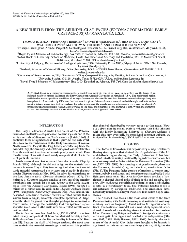 (PDF) A new turtle from the Arundel Clay facies (Potomac Formation ...