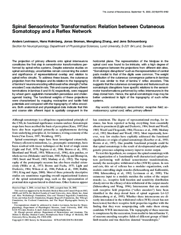 (PDF) Spinal sensorimotor transformation: relation between cutaneous somatotopy and a reflex network