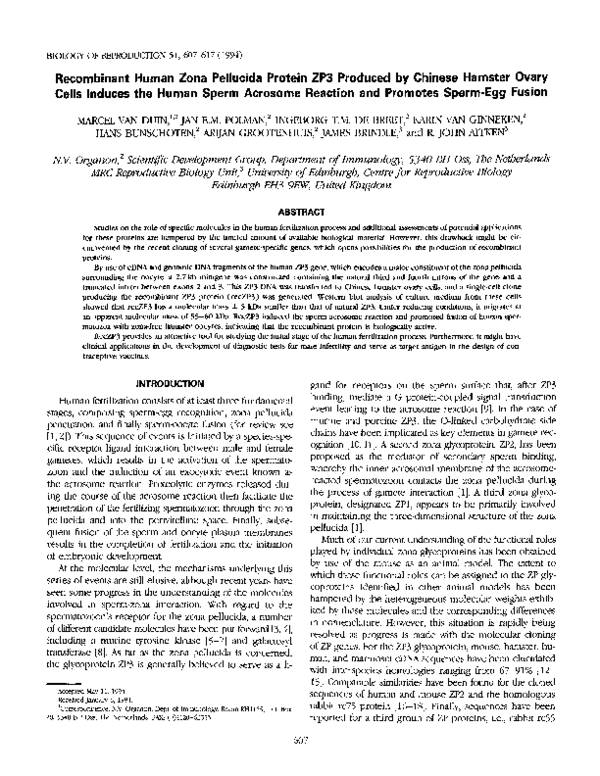 (PDF) Recombinant human zona pellucida protein ZP3 produced by chinese ...