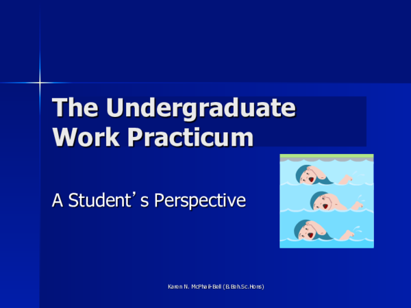 (PDF) The undergraduate work placement – A student perspective
