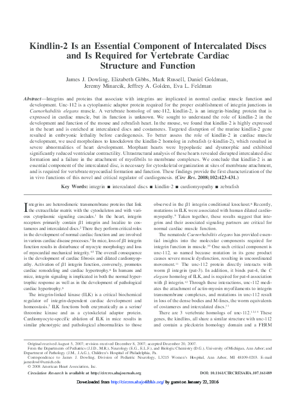 (PDF) Kindlin-2 Is an Essential Component of Intercalated Discs and Is ...