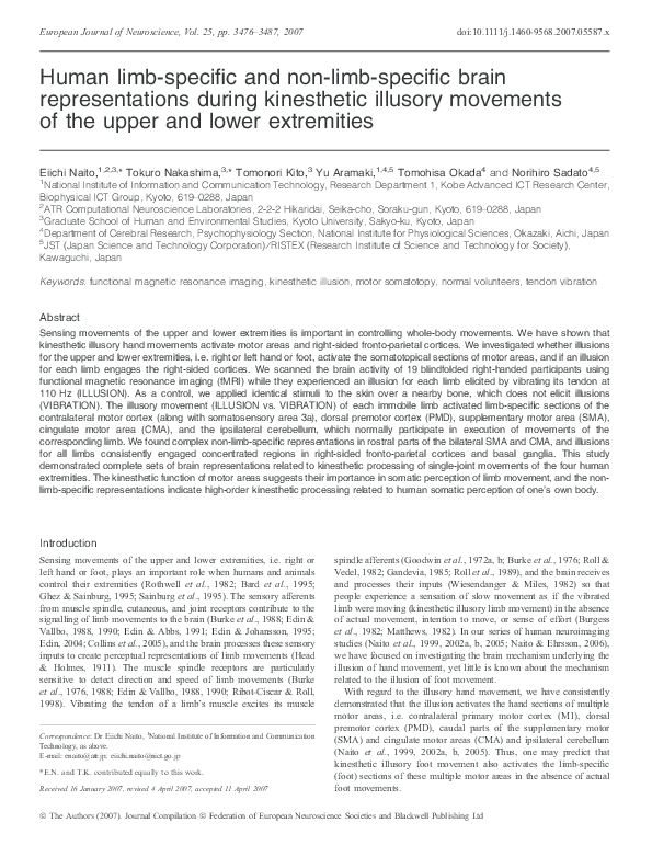 (PDF) Human limb-specific and non-limb-specific brain representations ...