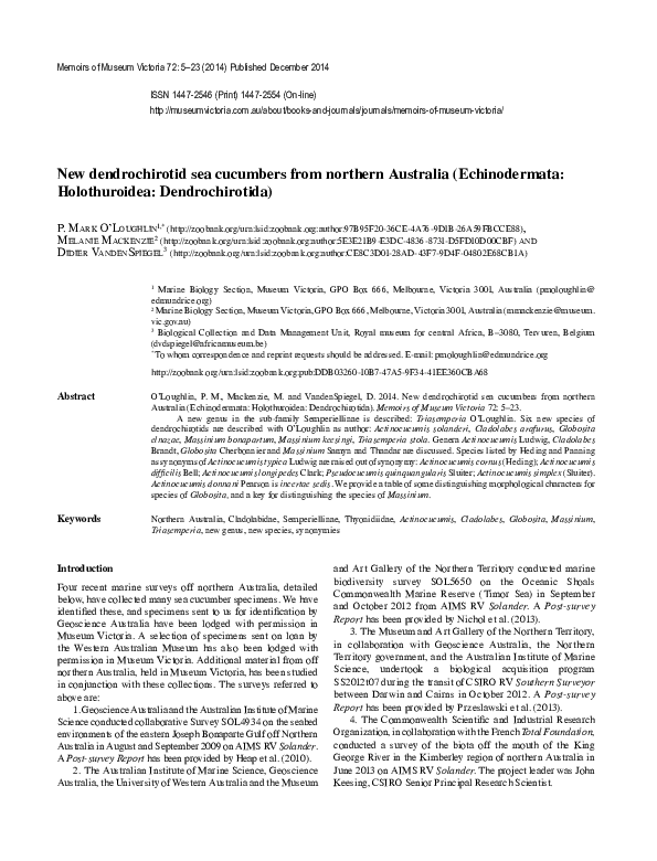 (PDF) New dendrochirotid sea cucumbers from northern Australia ...