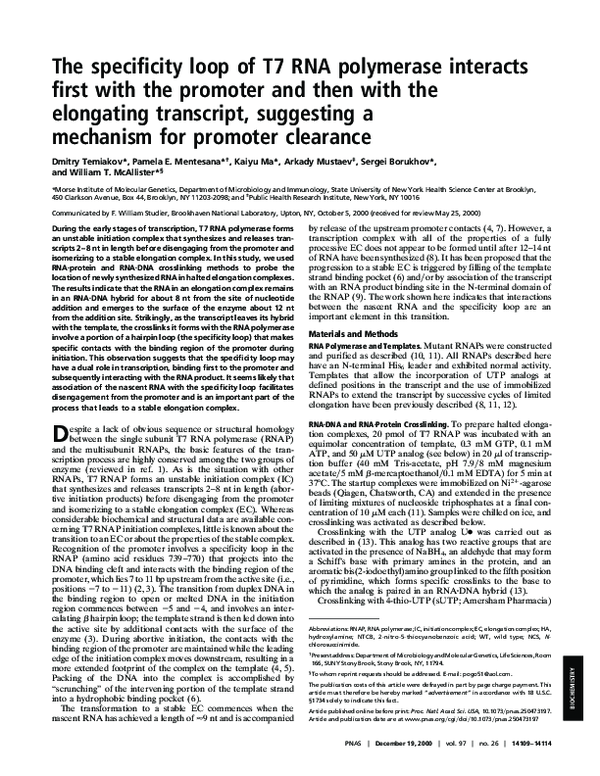 (PDF) The specificity loop of T7 RNA polymerase interacts first with ...
