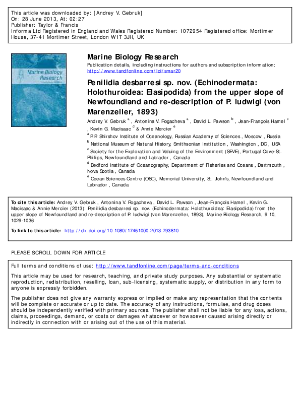 (PDF) Penilidia desbarresi sp. nov. (Echinodermata: Holothuroidea ...