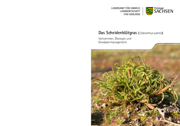 (PDF) Das Scheidenblütgras (Coleanthus subtilis) Vorkommen, Ökologie ...