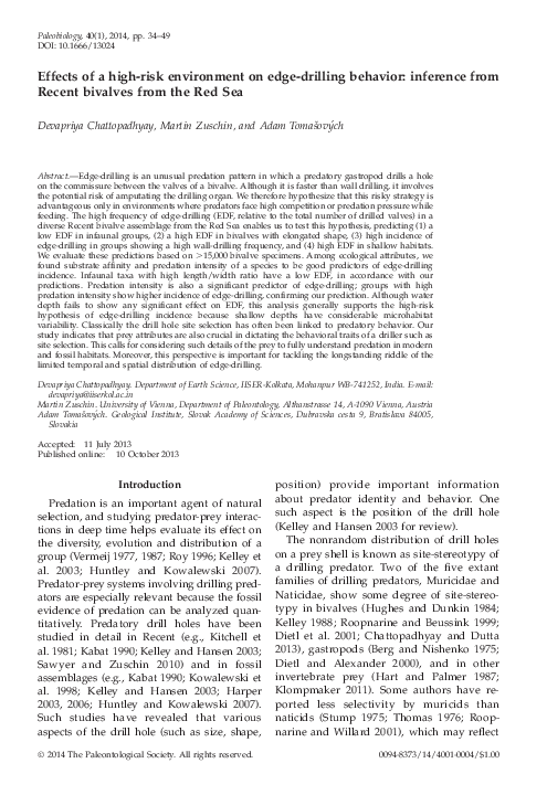 (PDF) Effects of a high-risk environment on edge-drilling behavior ...