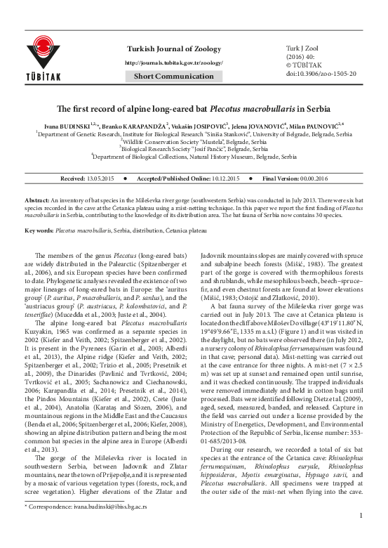 (PDF) The first record of alpine long-eared bat Plecotus macrobullaris ...