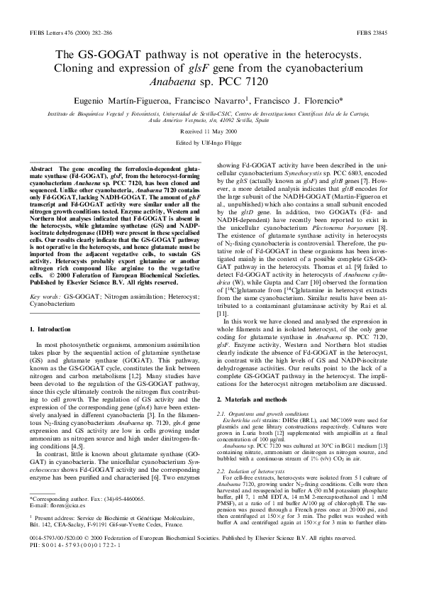 (PDF) The GS-GOGAT pathway is not operative in the heterocysts. Cloning ...