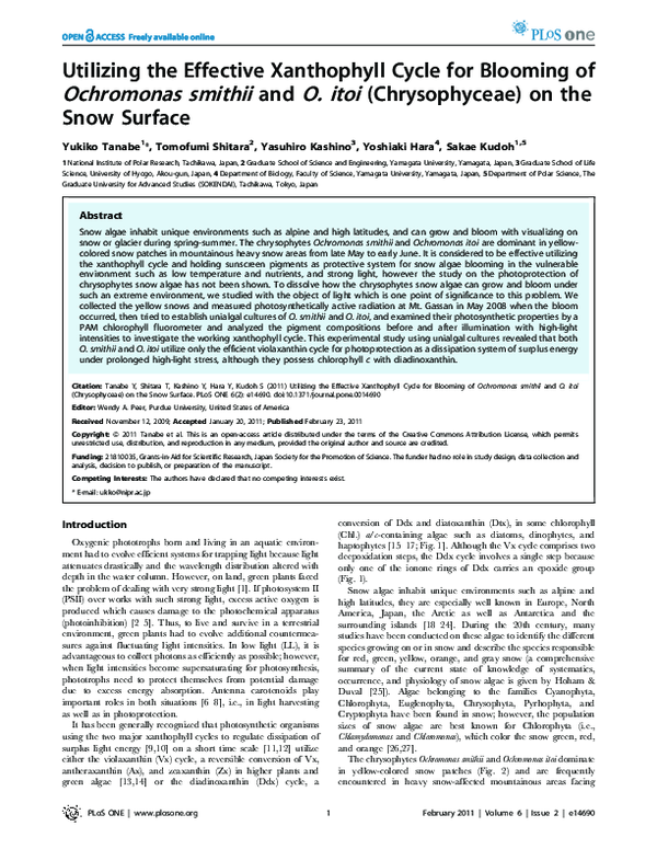 (PDF) Utilizing the effective xanthophyll cycle for blooming of ...