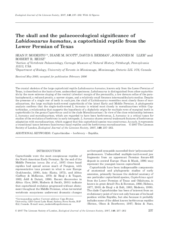 (PDF) The skull and the palaeoecological significance of Labidosaurus ...