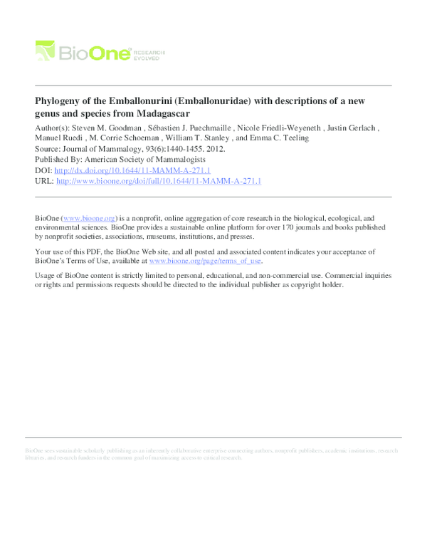 (PDF) Plylogeny of the Emballonurini bats (Family Emballonuridae): new ...