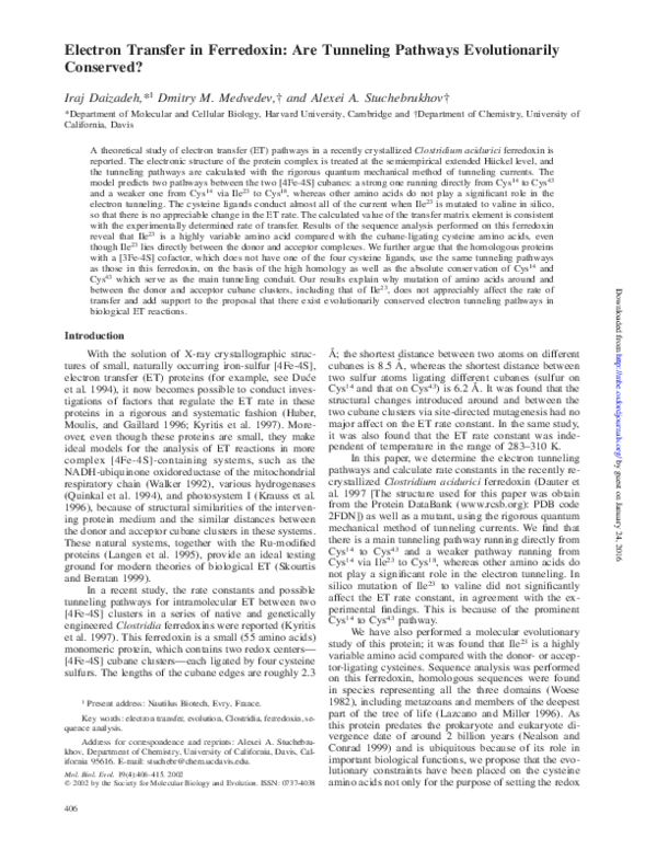 (PDF) Electron Transfer in Ferredoxin: Are Tunneling Pathways ...