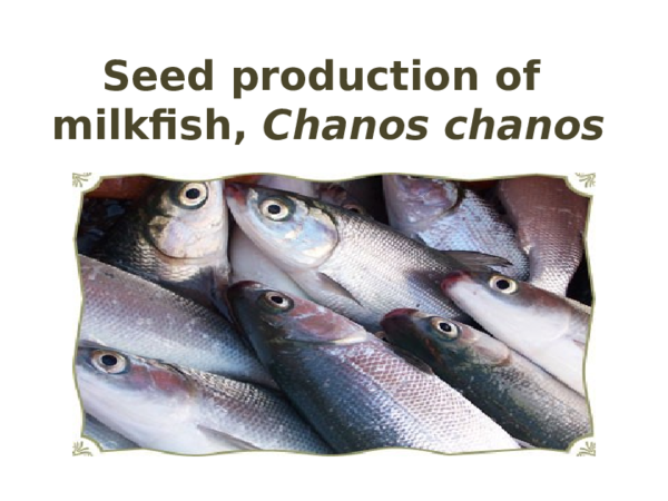 (PPT) 12 - Seed production of milkfish