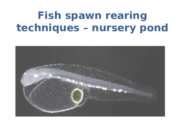 (PPT) 5 1 - Fish spawn rearing in nursery pond