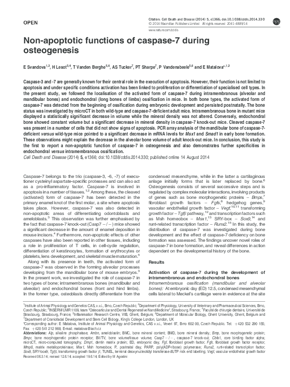 (PDF) Non-apoptotic functions of caspase-7 during osteogenesis